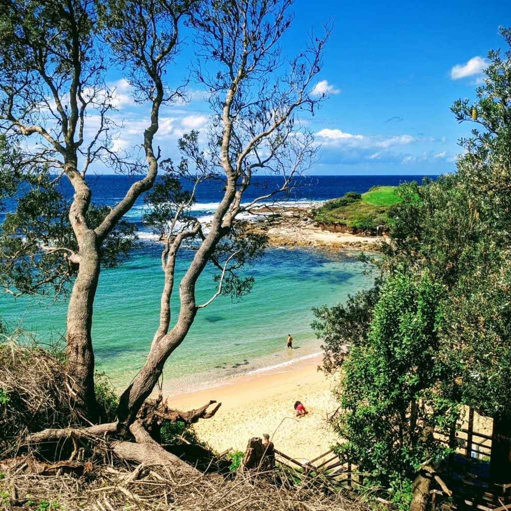 Snorkelling at Little Bay - MERCURIUS