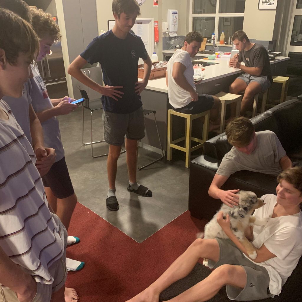 New Barry House Member – Shore Boarding News