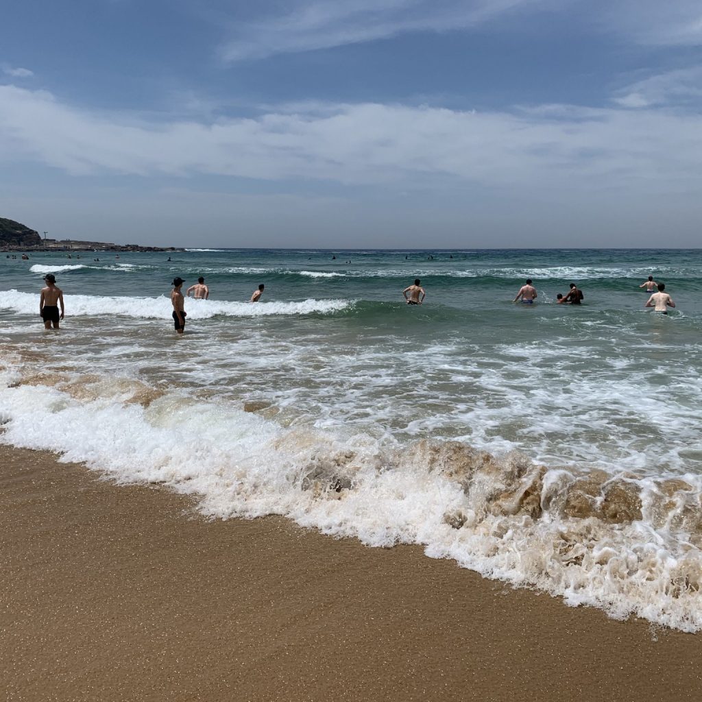Barry House Enjoys a Study Break – Shore Boarding News