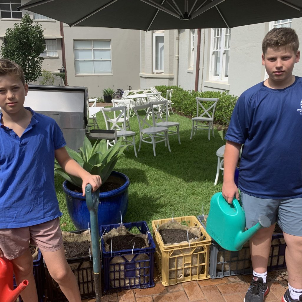 Robson House Round Up – Shore Boarding News