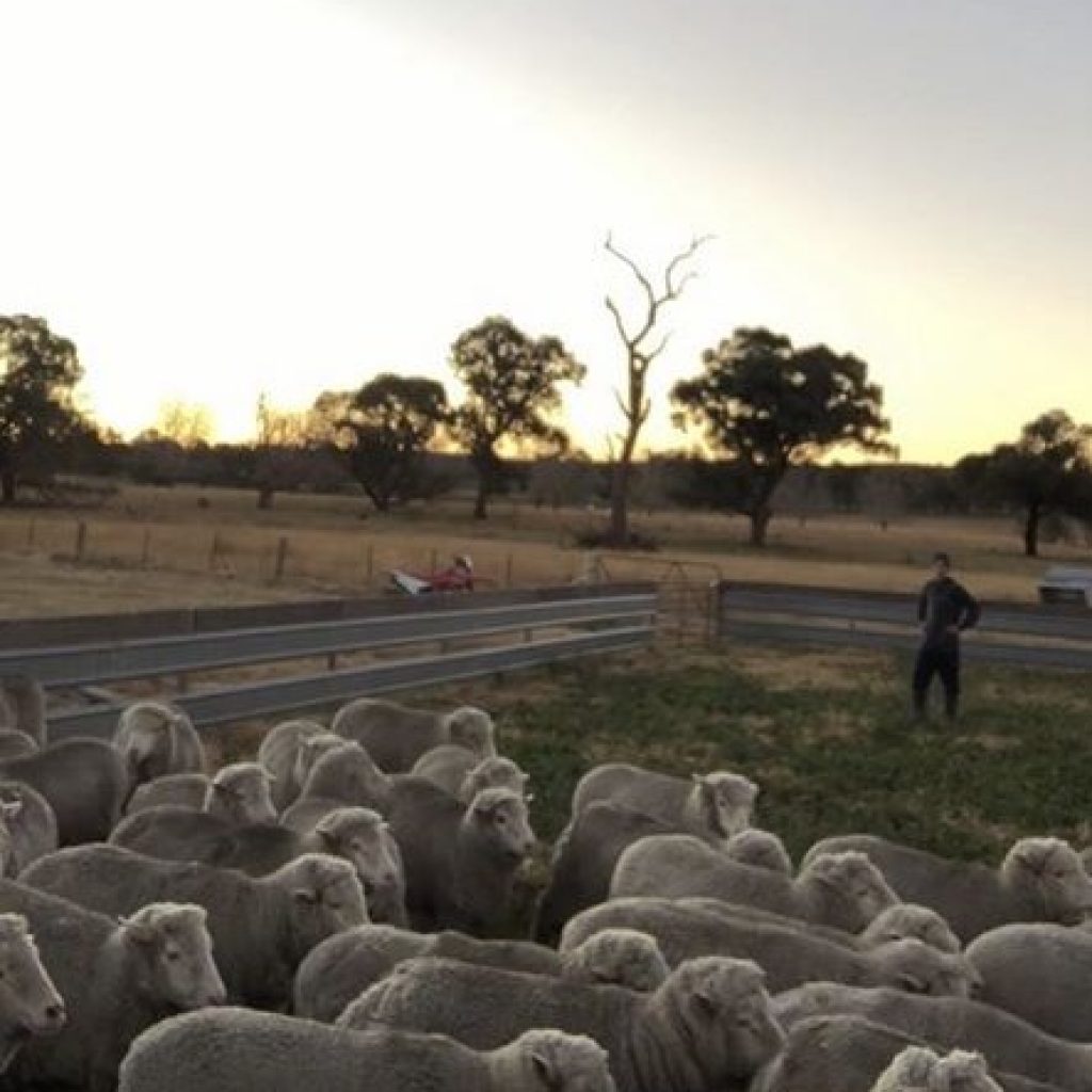 Photos from Home - Shore Boarding News