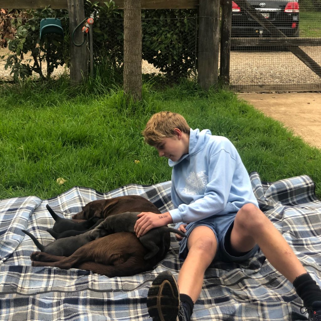 Photos from Home - Shore Boarding News