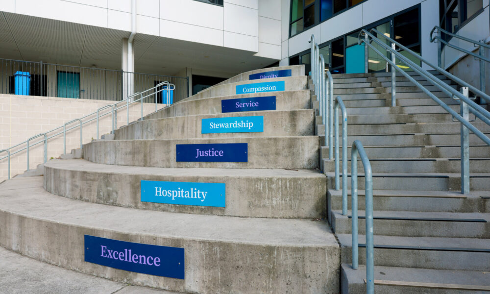 Leader of Pathways and Partnerships – Lisa Formica – OLM Newsletter